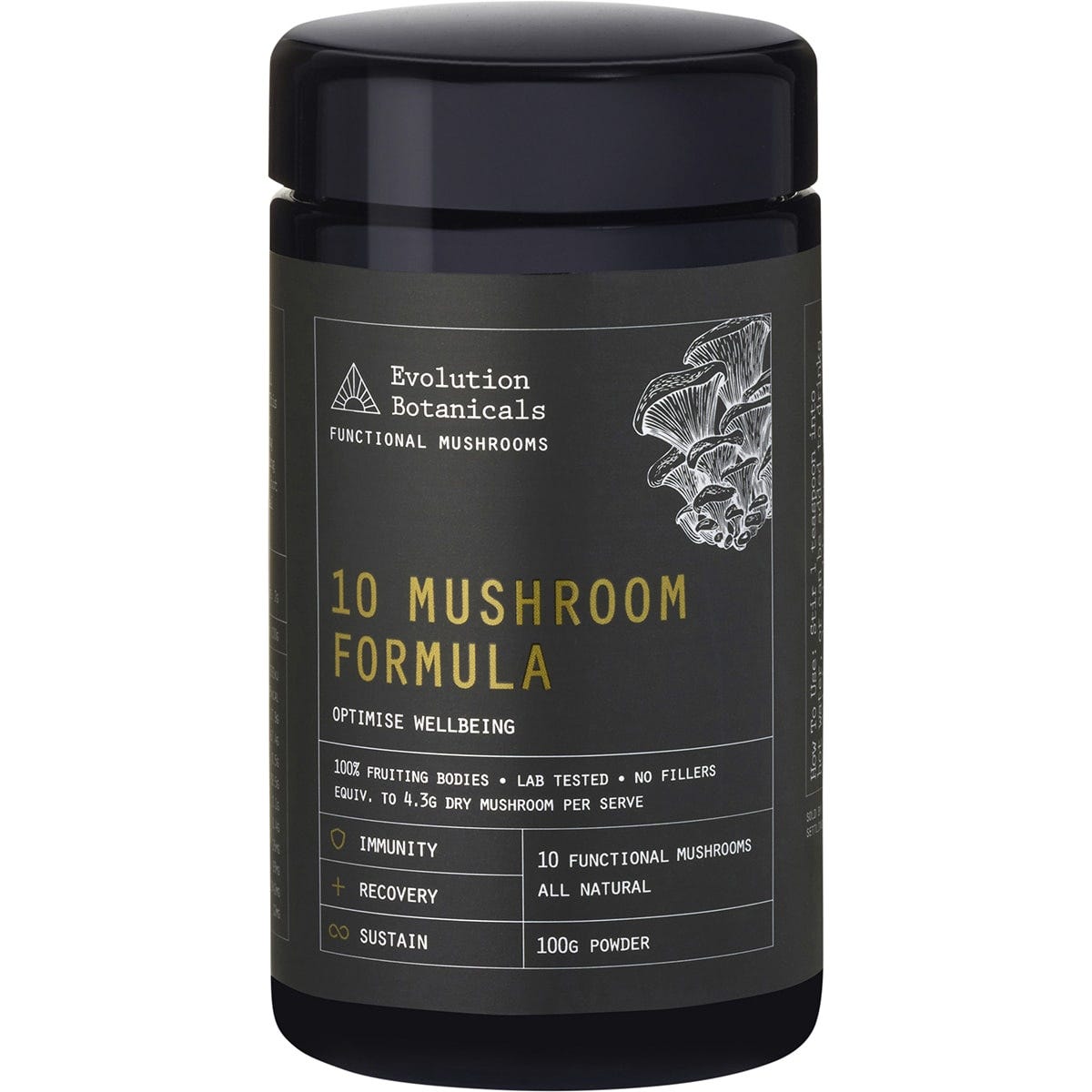 Evolution Botanicals 10 Mushroom Formula Optimise Wellbeing 100g | The ...